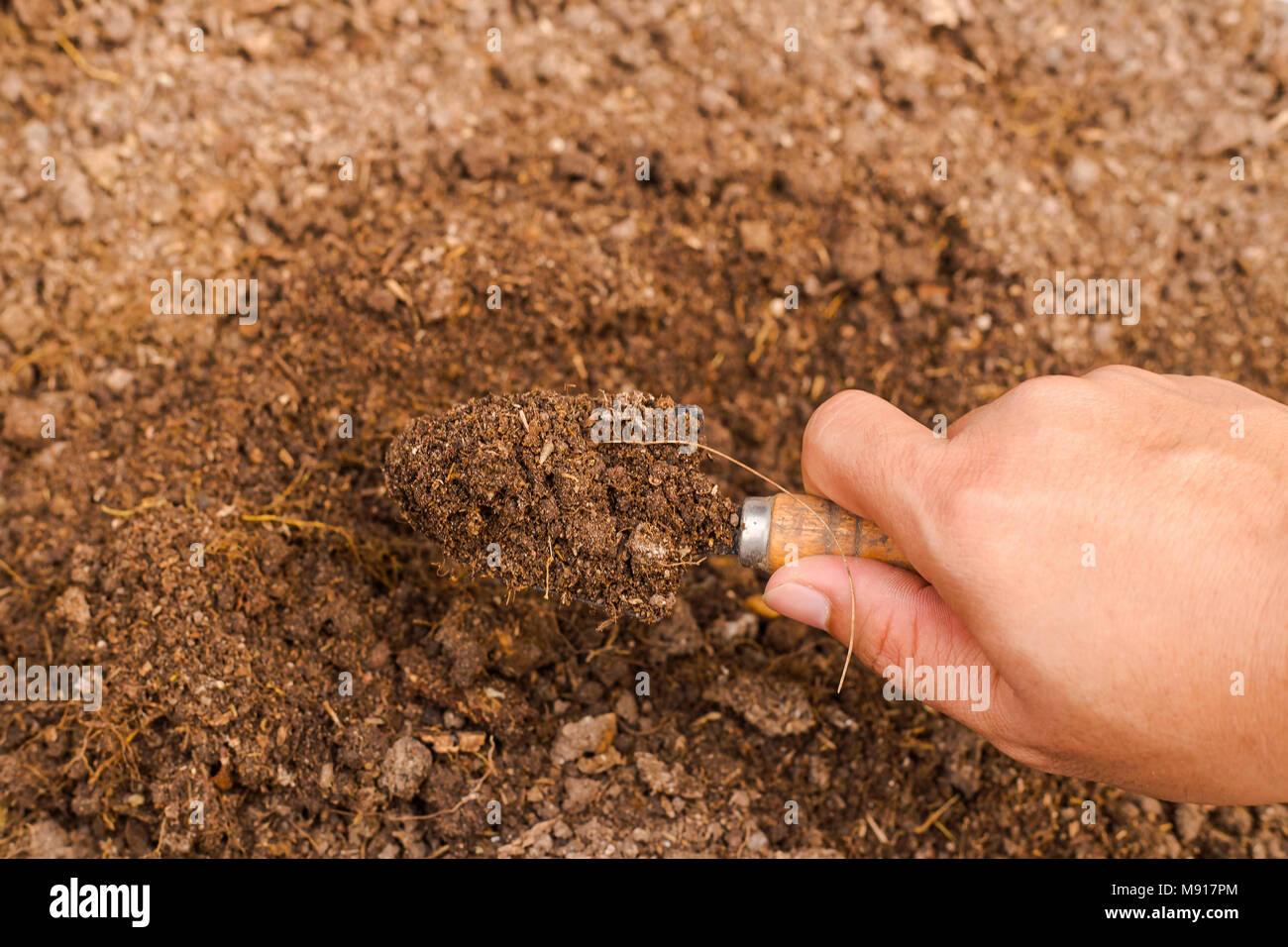 Soil in spoon.Gardening tools and soil for planting Stock Photo - Alamy