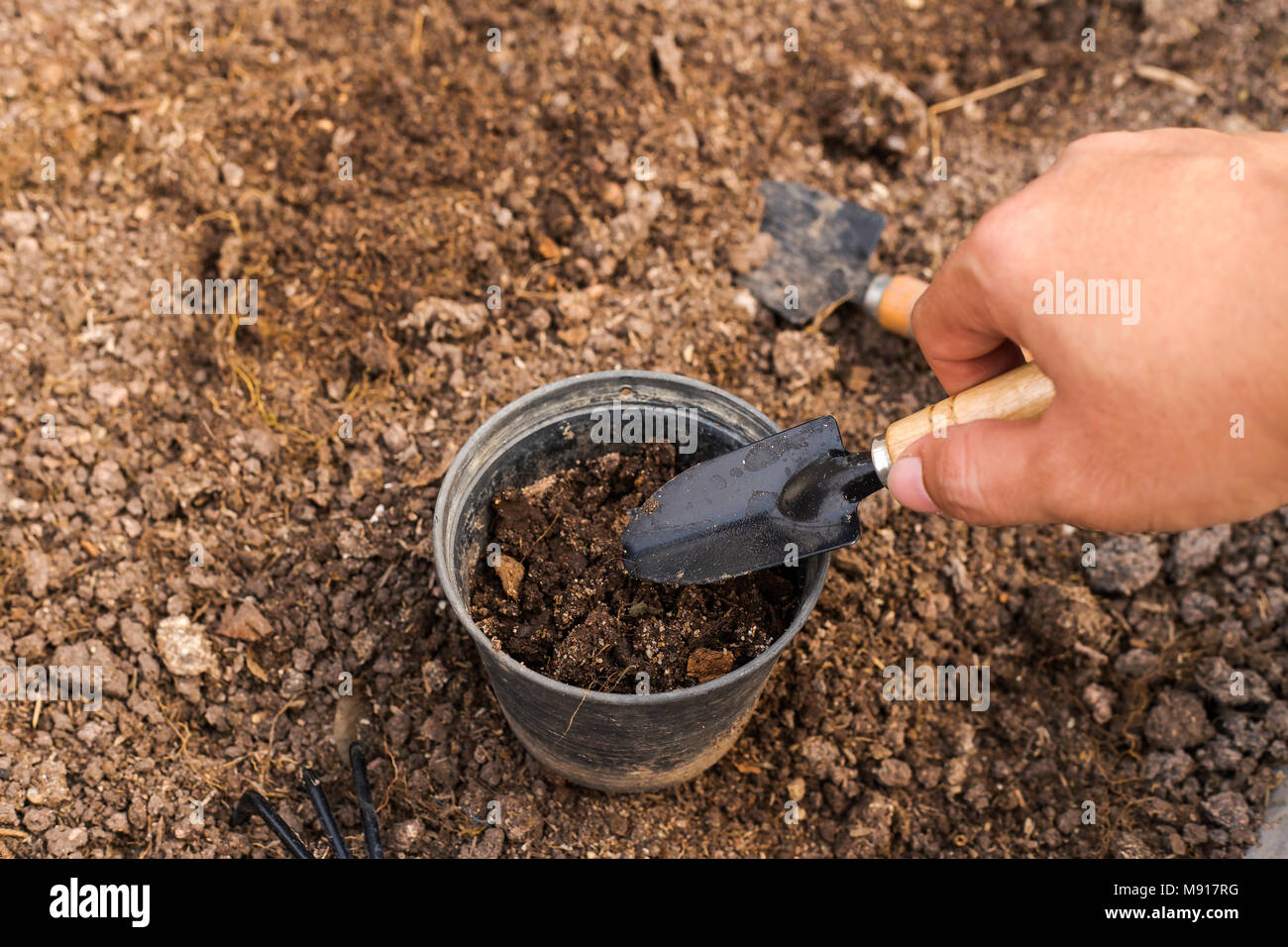 Soil in spoon.Gardening tools and soil for planting Stock Photo - Alamy