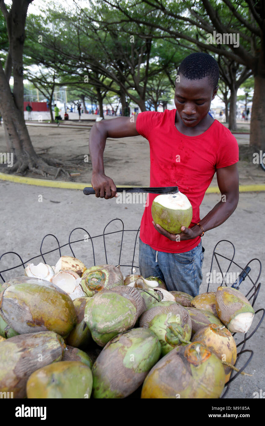 Man selling coconuts in Cotonou Stock Photo - Alamy