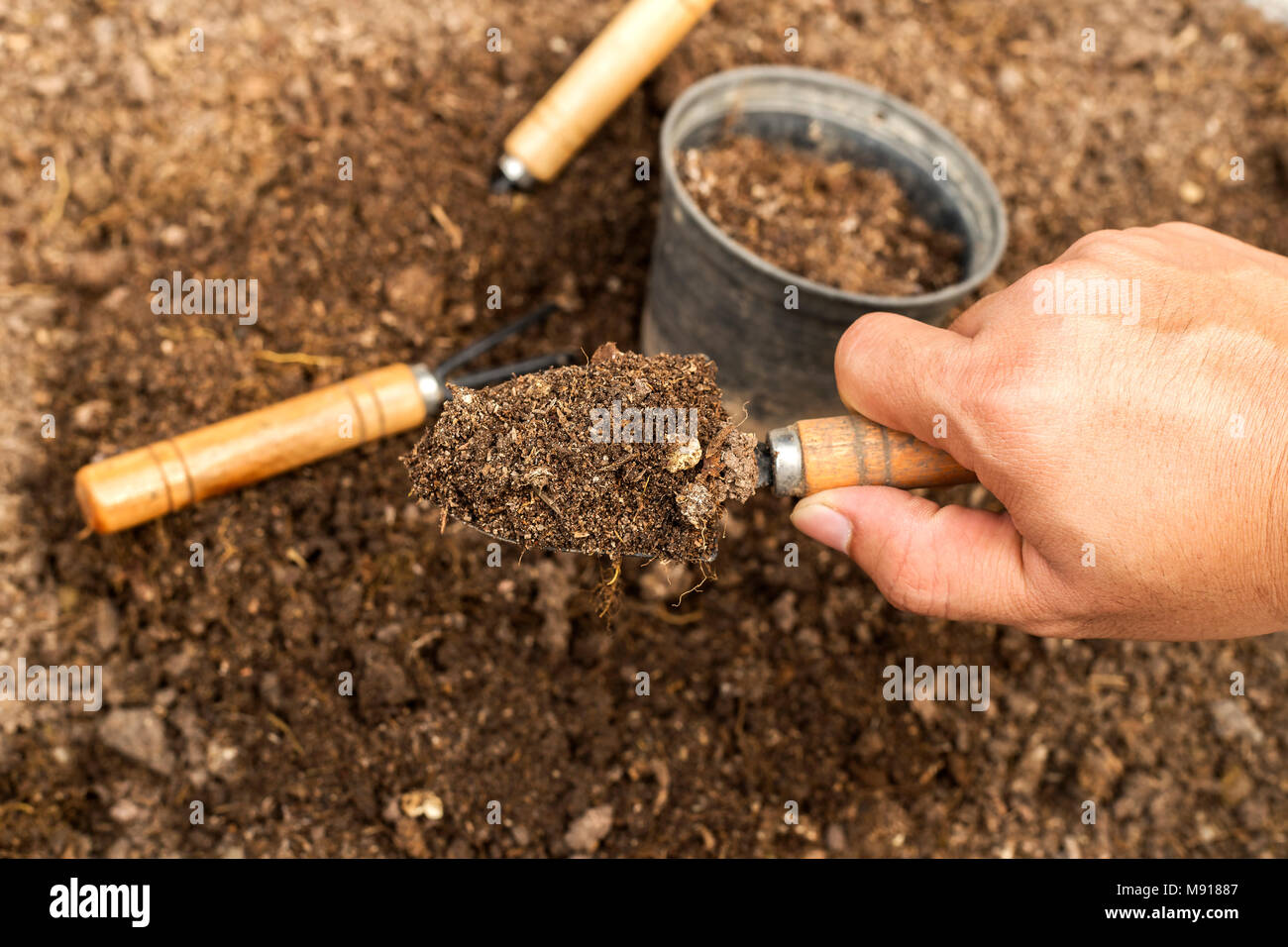 Soil in spoon.Gardening tools and soil for planting Stock Photo - Alamy