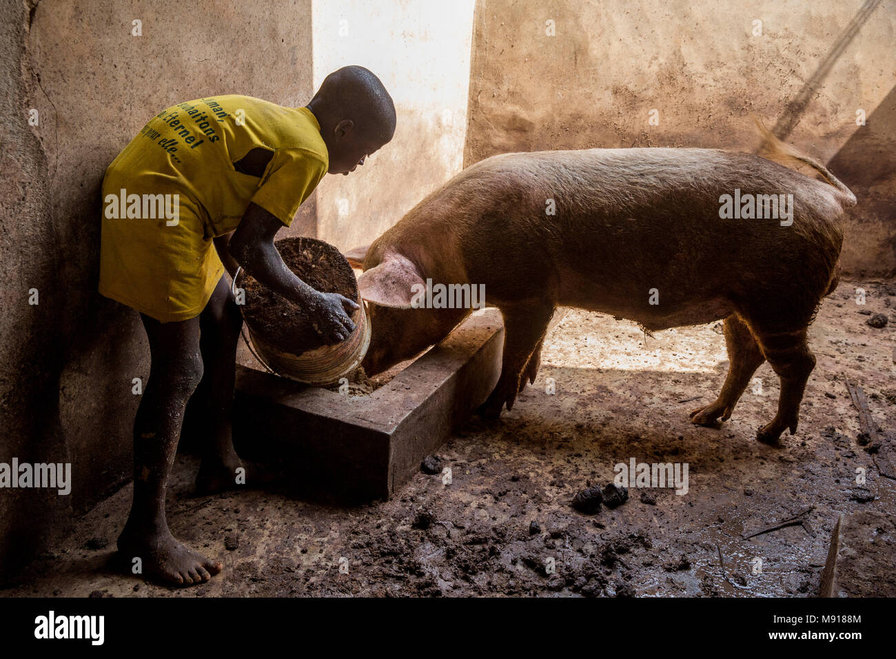 Child farm worker hi-res stock photography and images - Alamy