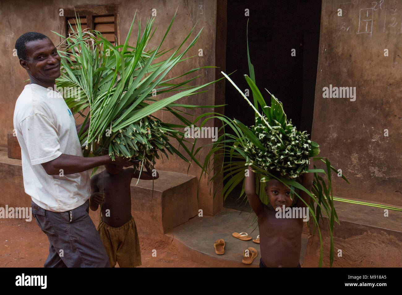 Fodder hi-res stock photography and images - Alamy