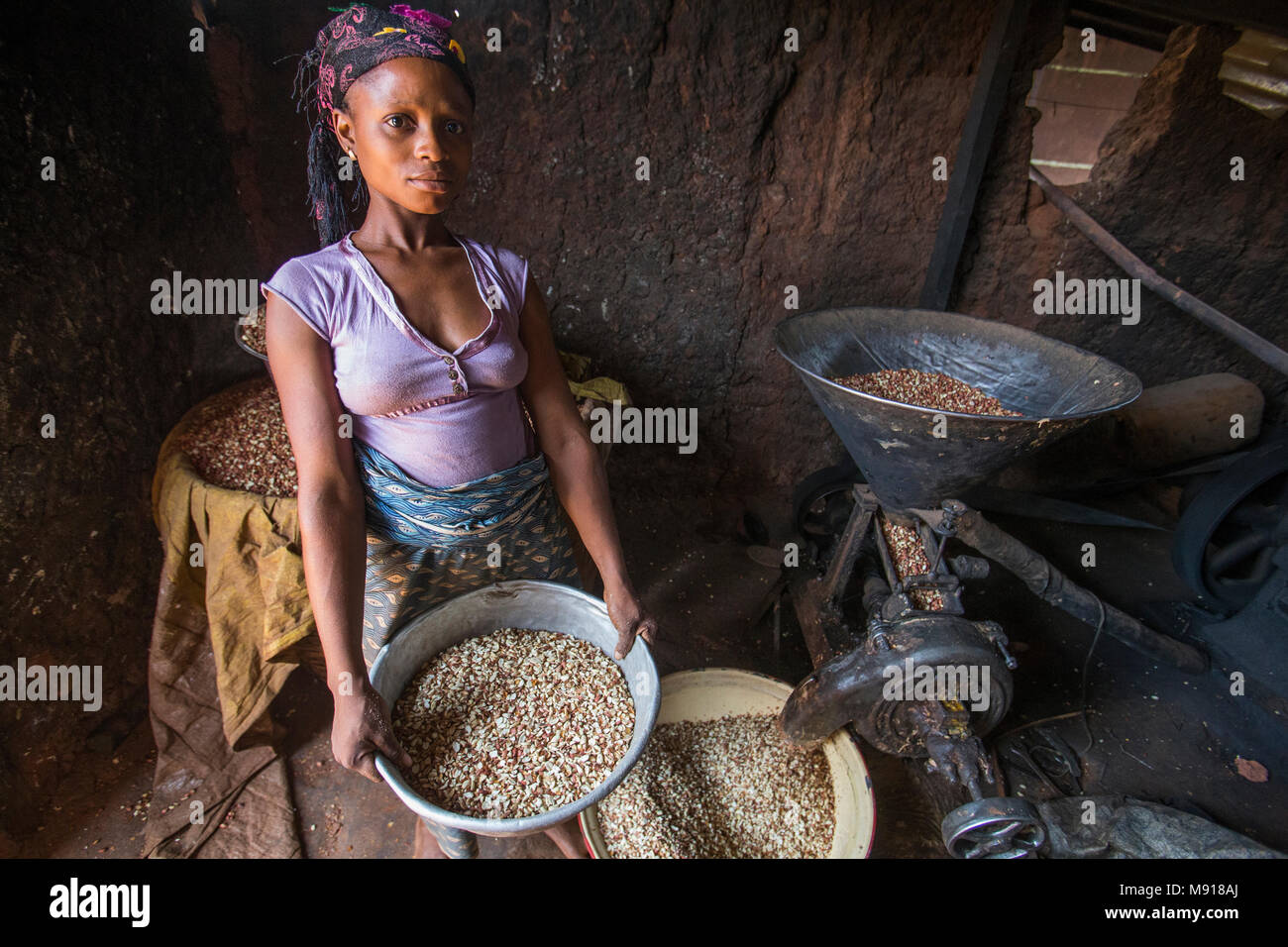 Work for peanuts hi-res stock photography and images - Alamy
