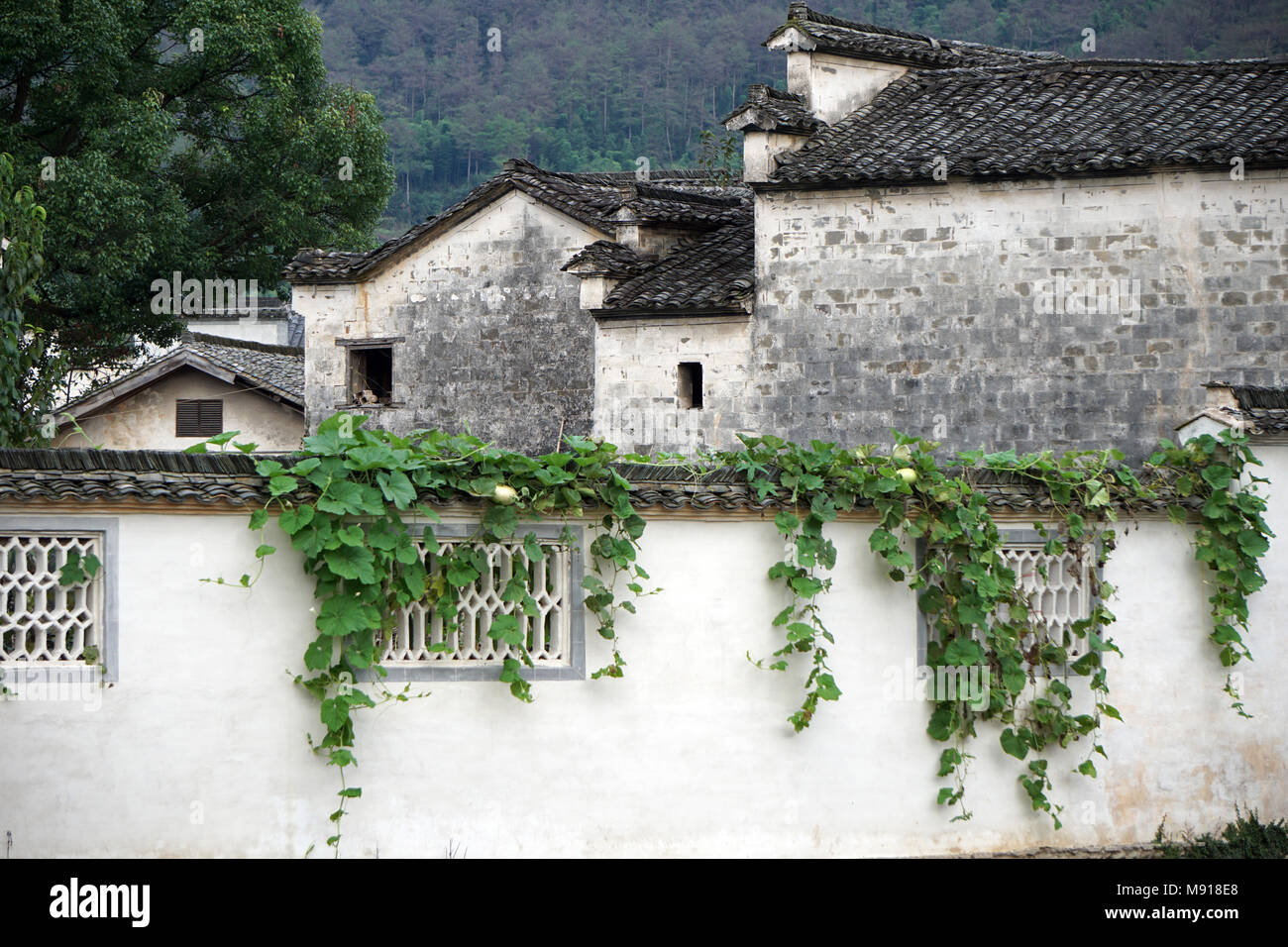 Traditional chinese village and unesco world heritage hongcun in anhui ...