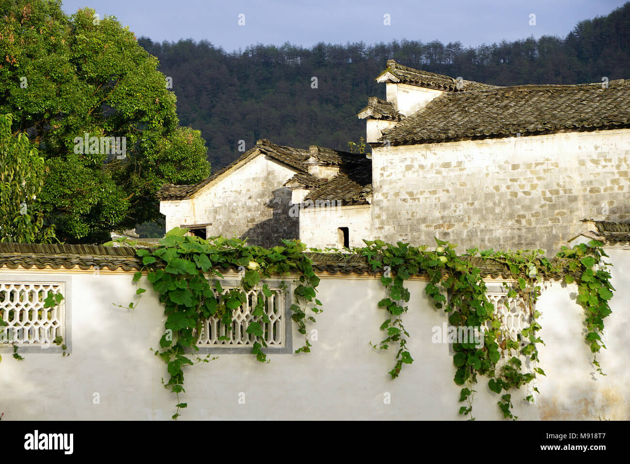 Traditional chinese village and unesco world heritage hongcun in anhui ...
