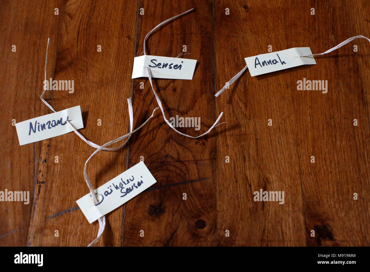 Buddhist name hi-res stock photography and images - Alamy