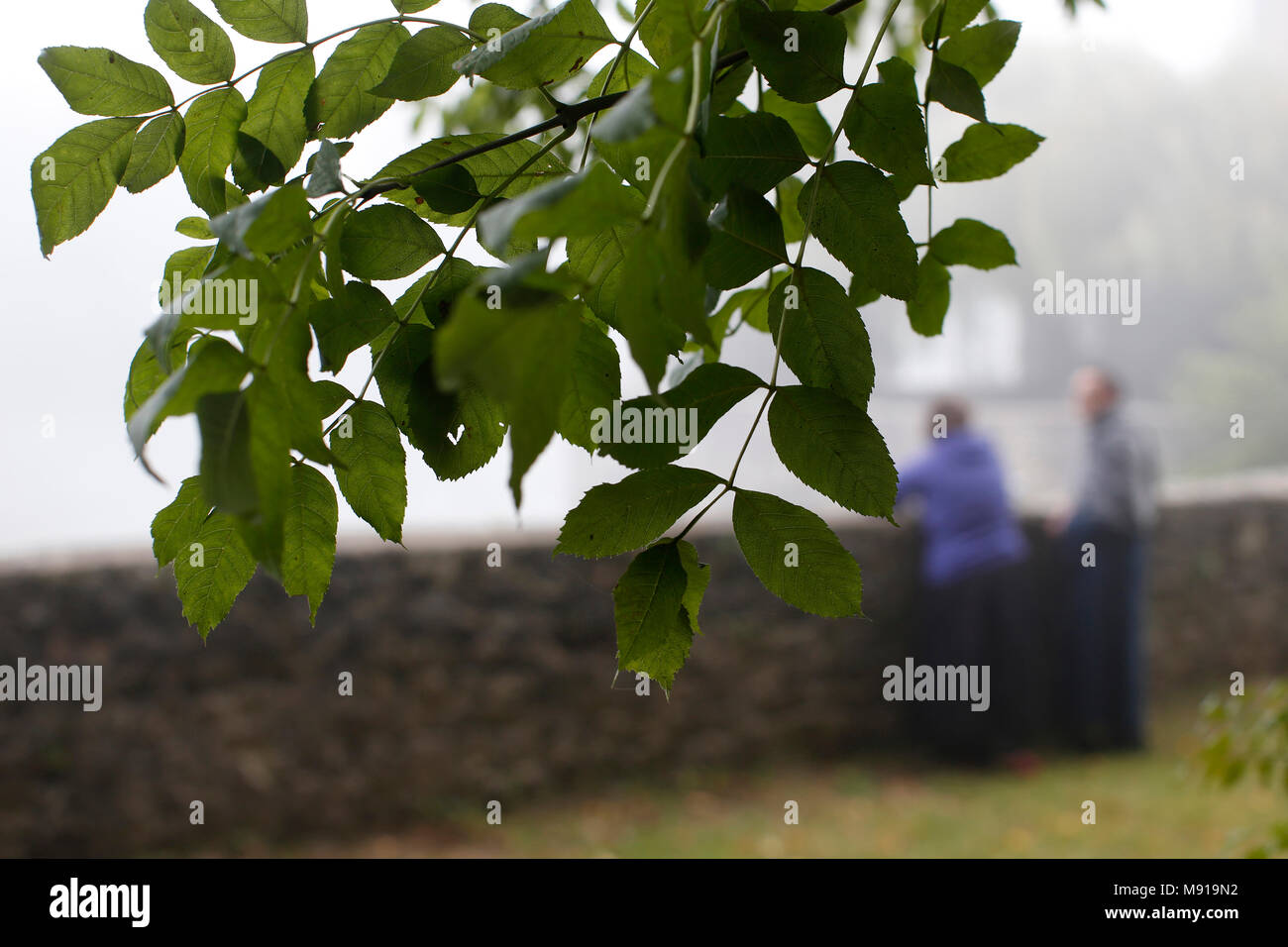 Zen sesshin (retreat). France Stock Photo - Alamy