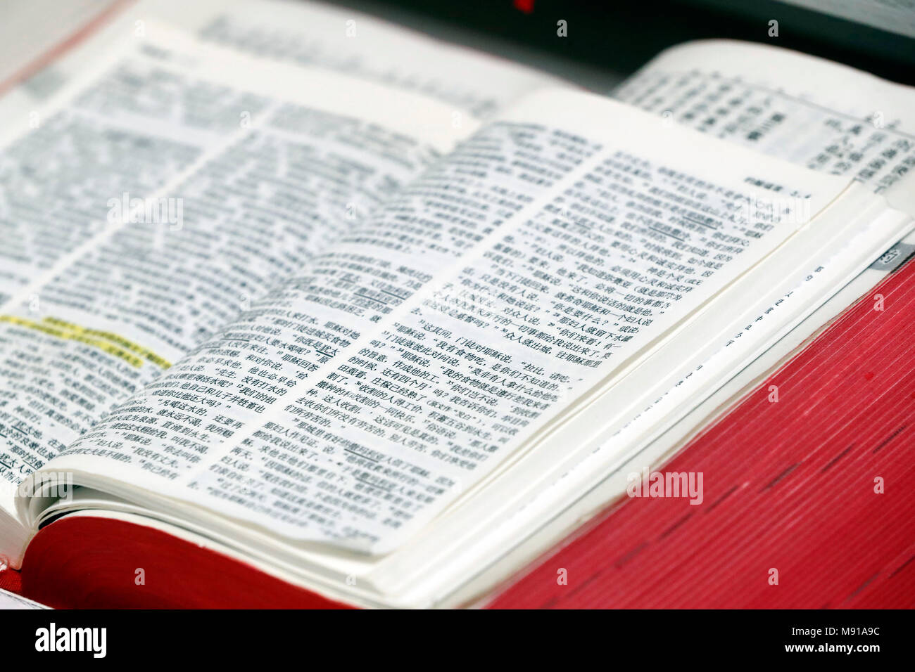 Chinese Family Reading Bible