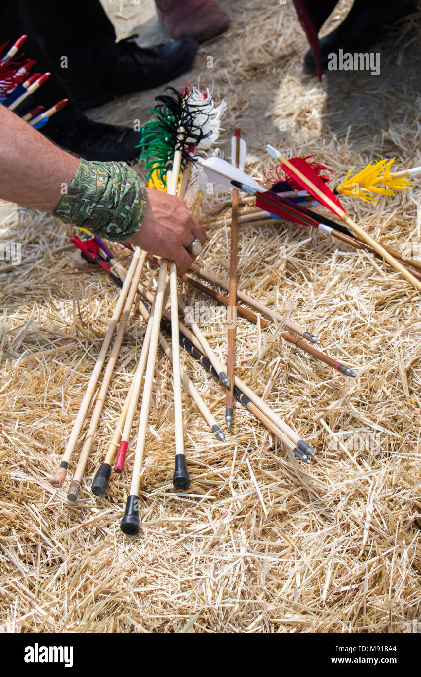 Arrow in hand as rprojectile weapon system archery Stock Photo - Alamy