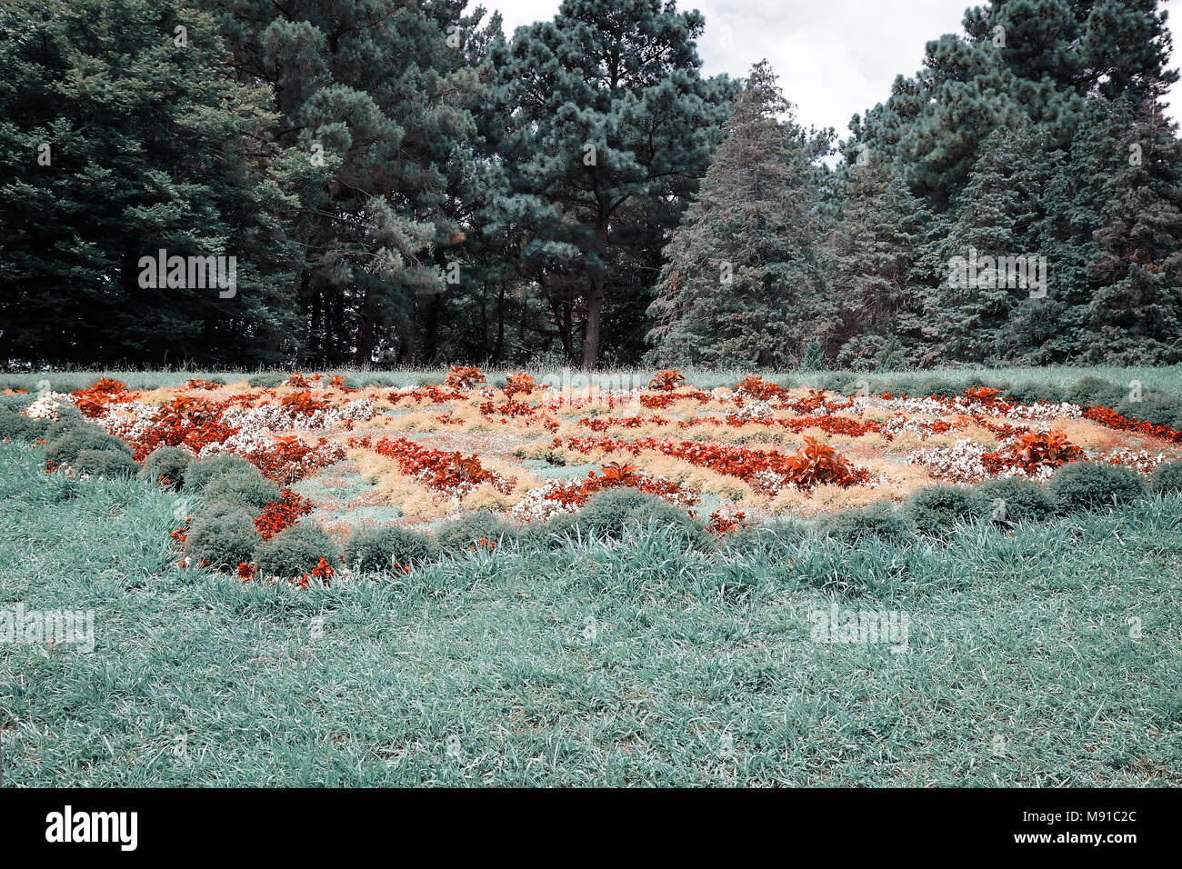 Lush meadow flowers hi-res stock photography and images - Alamy