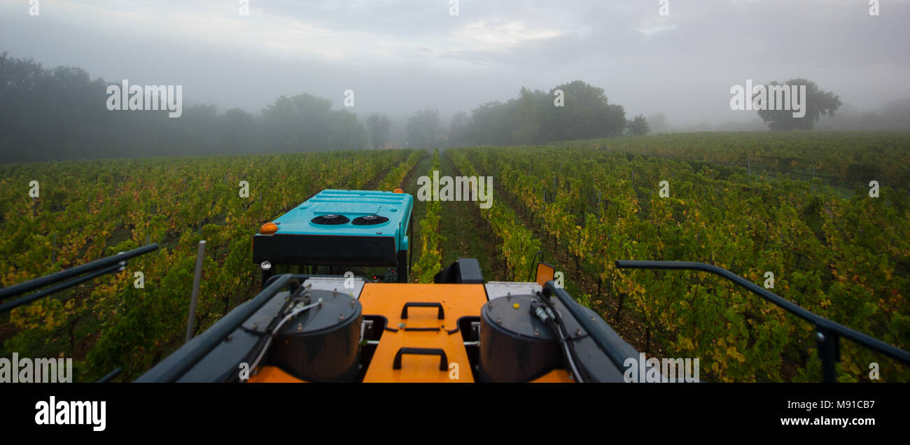 Mechanical harvesting of grapes in the vineyard Stock Photo - Alamy