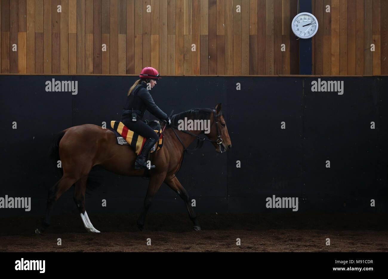 Aidan O'Brien trained Saxon Warrior at Ballydoyle Racing Stables ...
