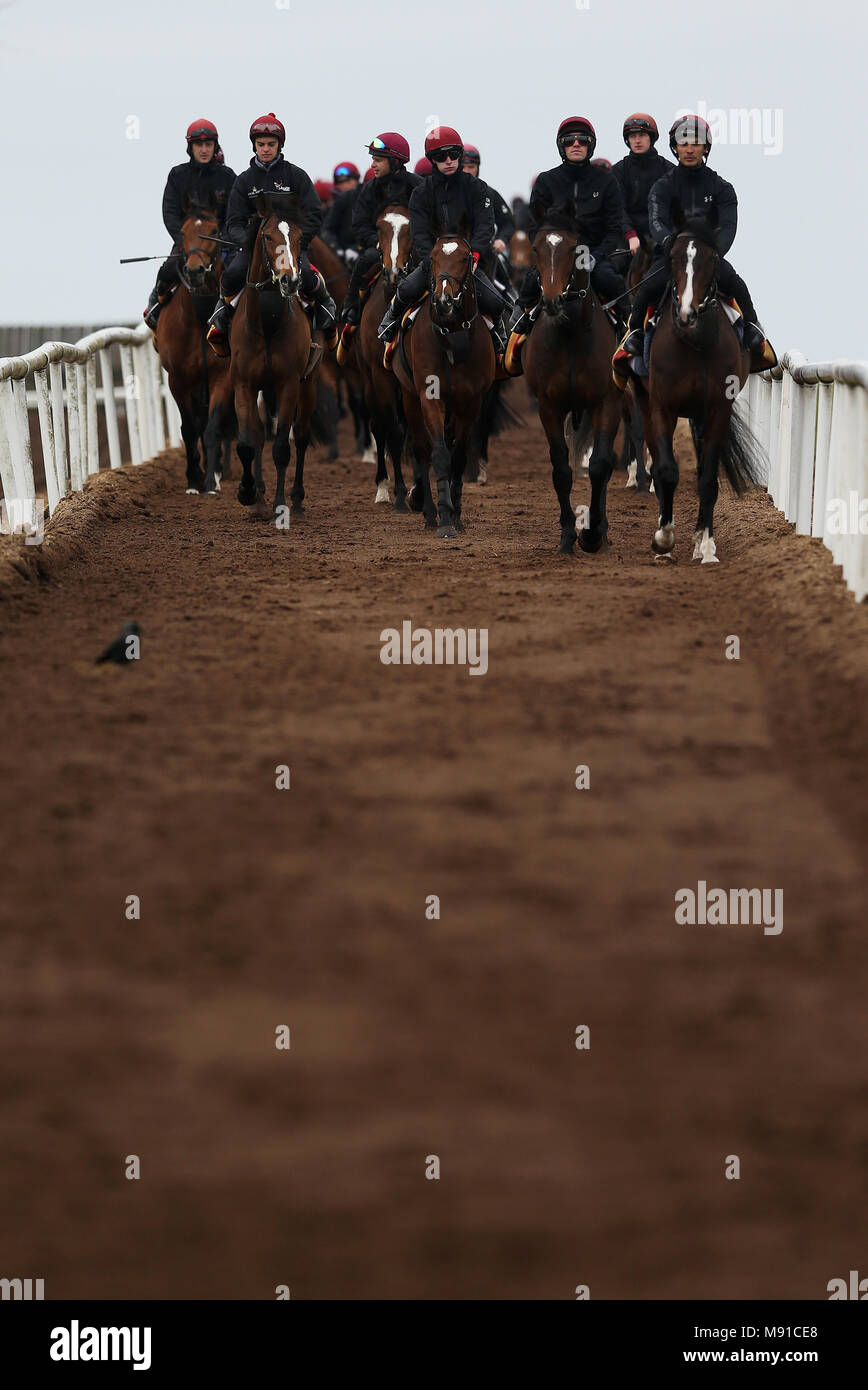 Aidan obrien trained horses ballydoyle racing stables hi-res stock ...