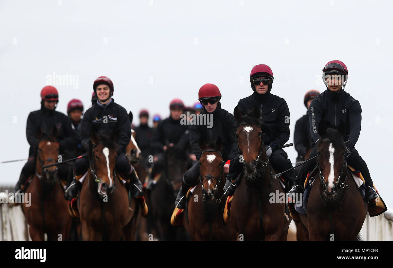 Aidan obrien trained horses ballydoyle racing stables hi-res stock ...
