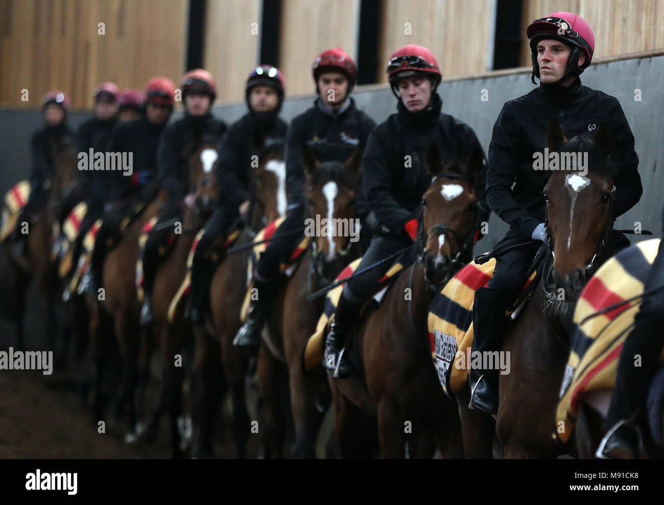 Aidan obrien trained horses ballydoyle racing stables hi-res stock ...