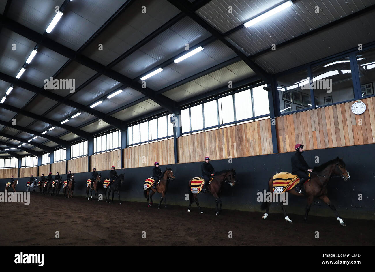 Aidan obrien trained horses ballydoyle racing stables hi-res stock ...