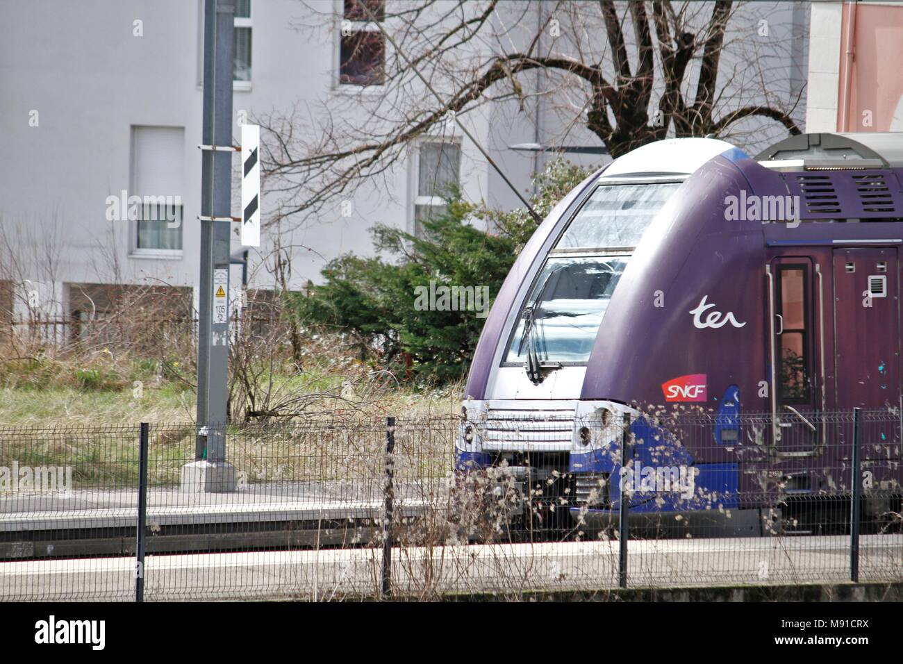 Train TER of the SNCF docked in Grenoble station Stock Photo - Alamy