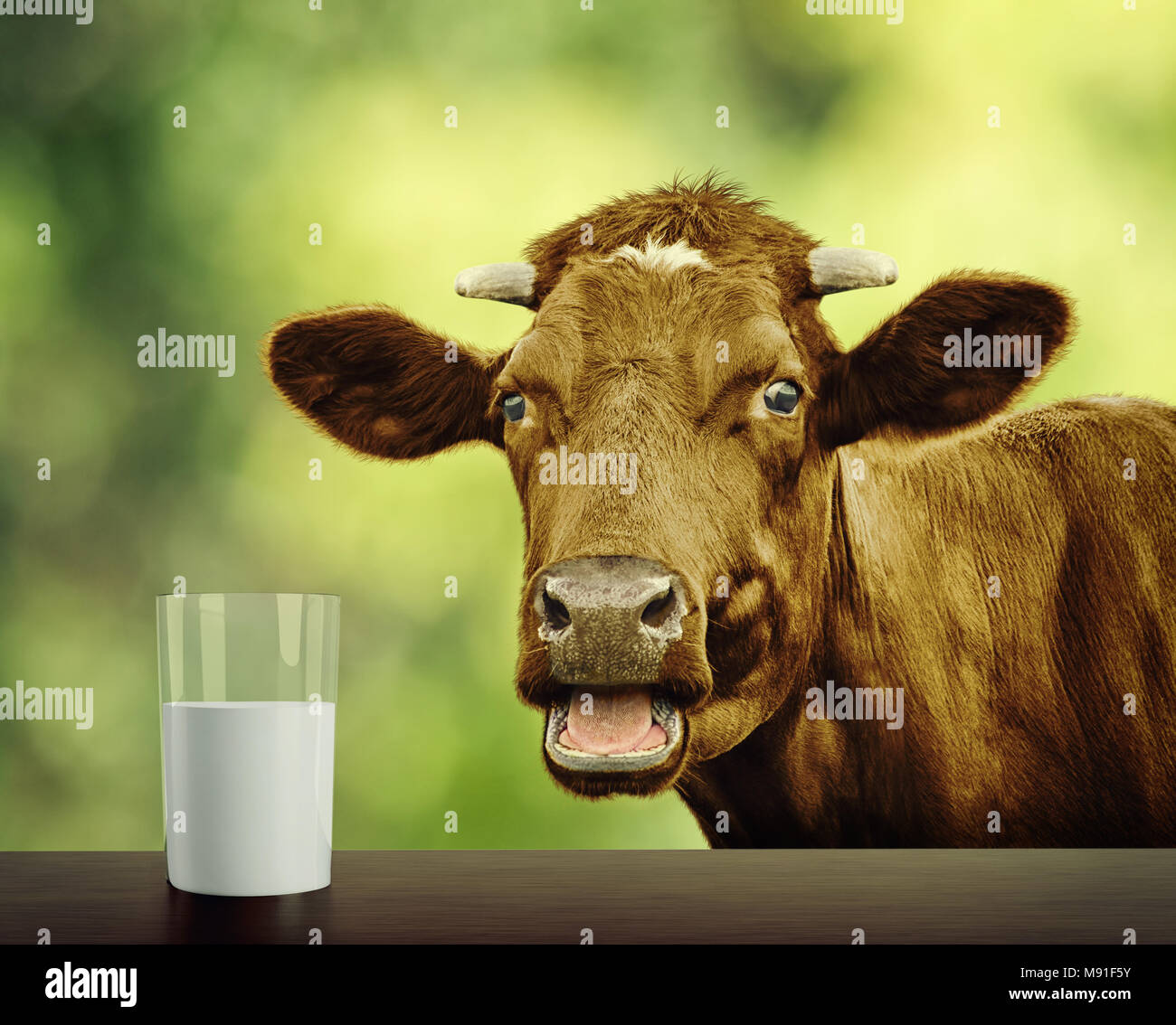 Caw funny hi-res stock photography and images - Alamy