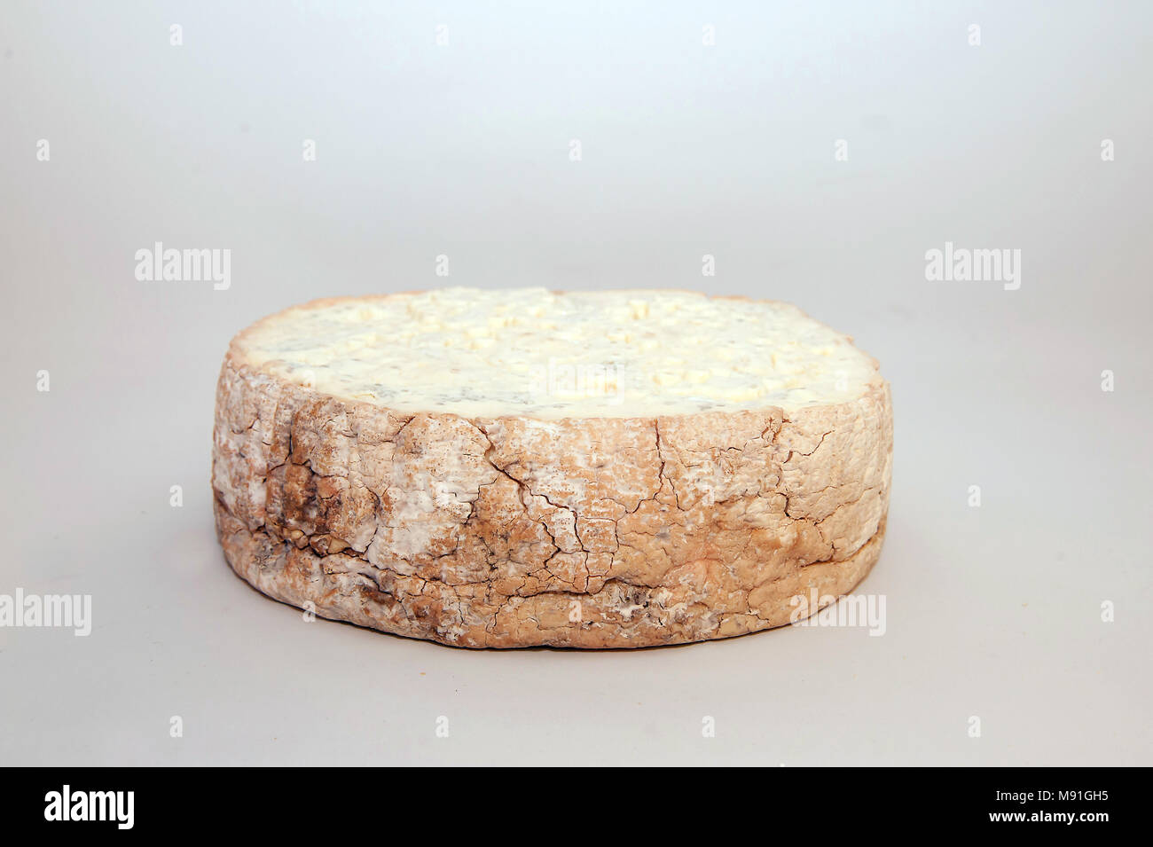 Traditional italian gorgonzola cheese hi-res stock photography and ...
