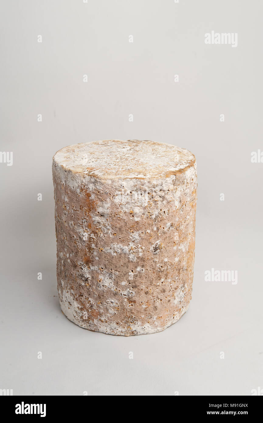 Shropshire Blue is made from pasteurized cows' milk and uses vegetable ...
