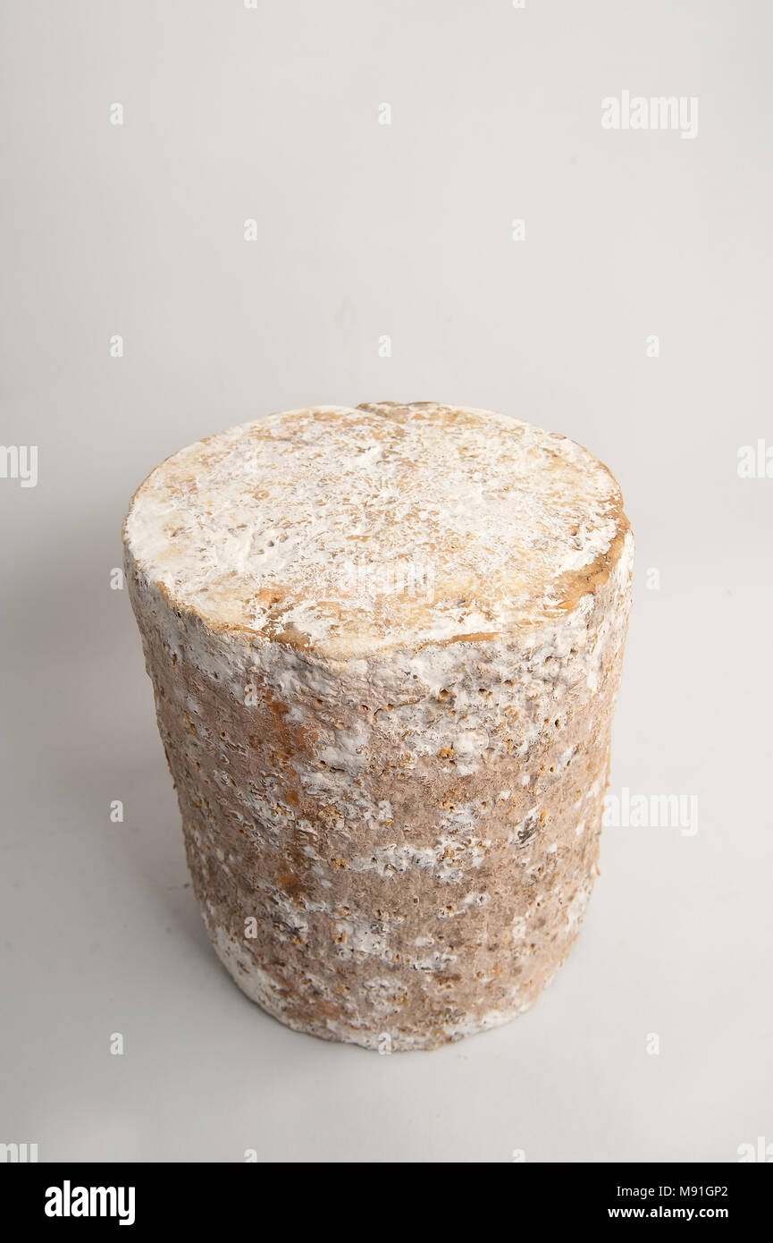 Shropshire Blue is made from pasteurized cows' milk and uses vegetable ...