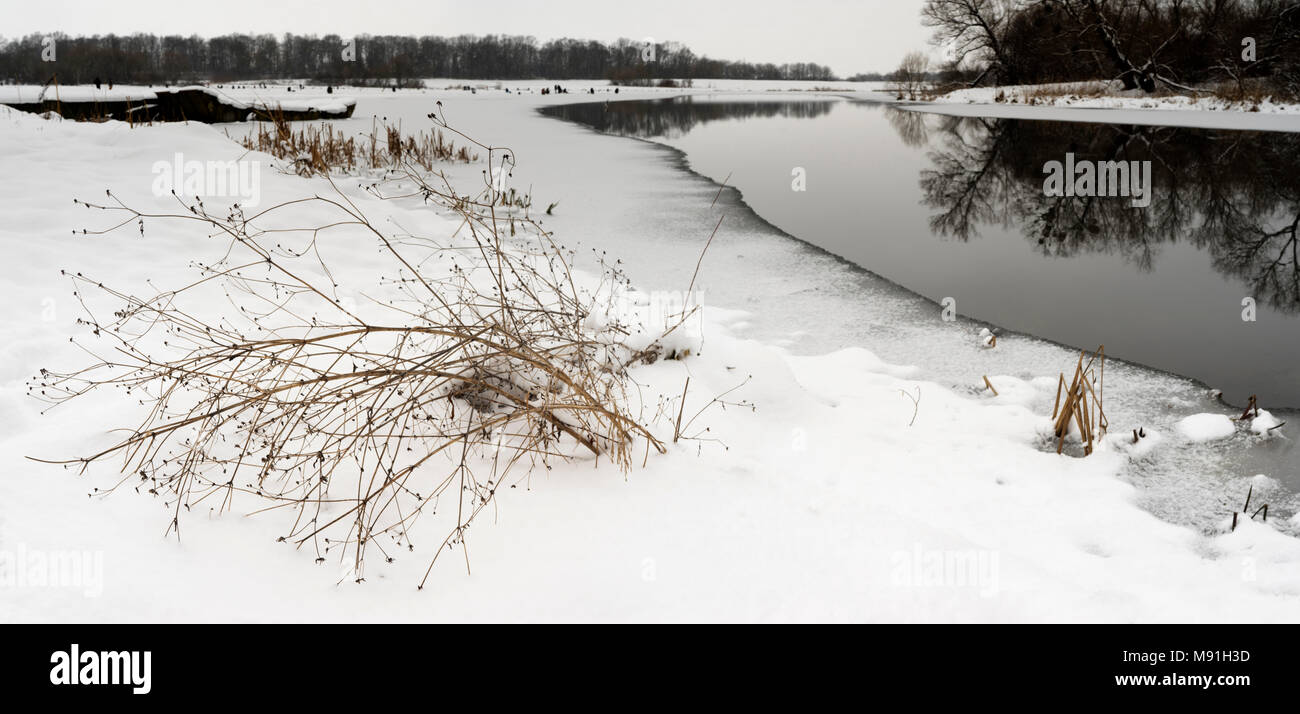Displaying trees in water at frosty winter morning Stock Photo - Alamy