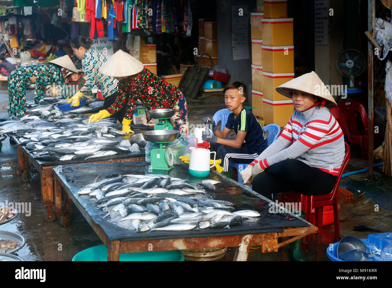 Fish town hi-res stock photography and images - Alamy