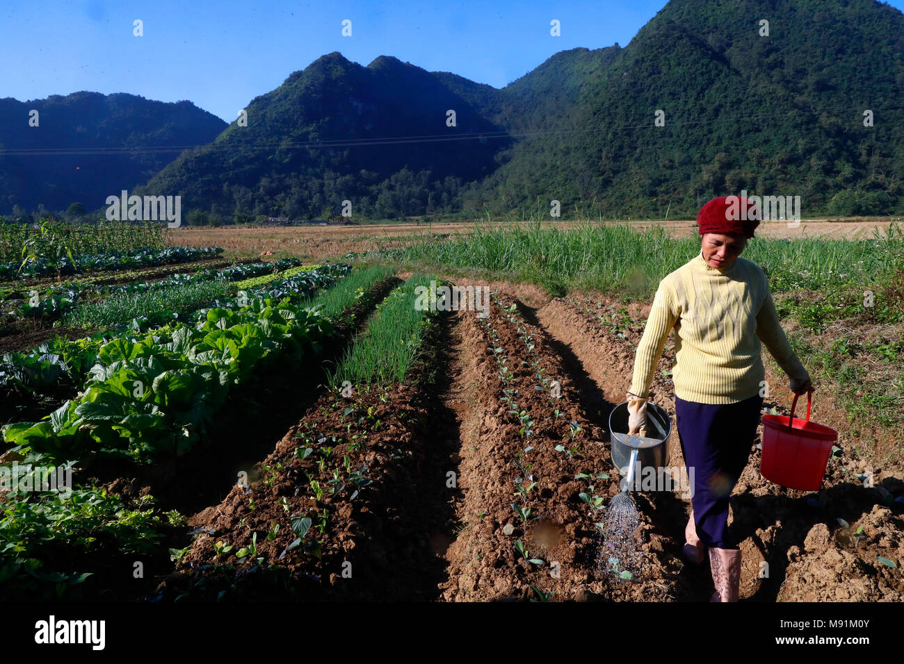 Farmer watering hi-res stock photography and images - Alamy