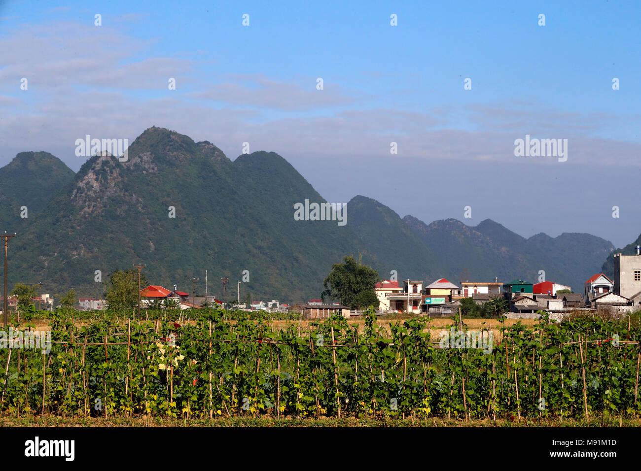 Vietnam life hi-res stock photography and images - Alamy