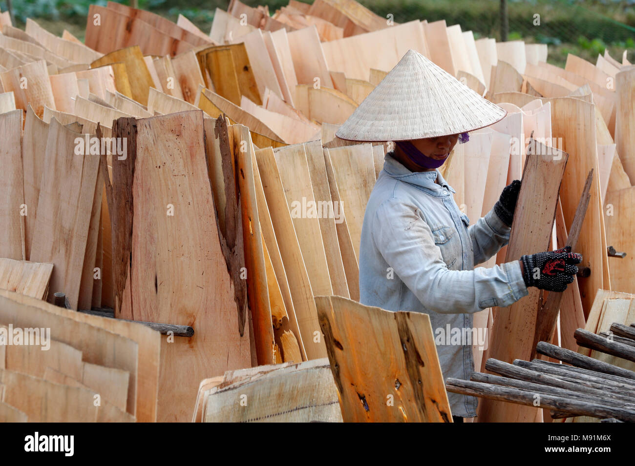 Woman wood work hi-res stock photography and images - Alamy