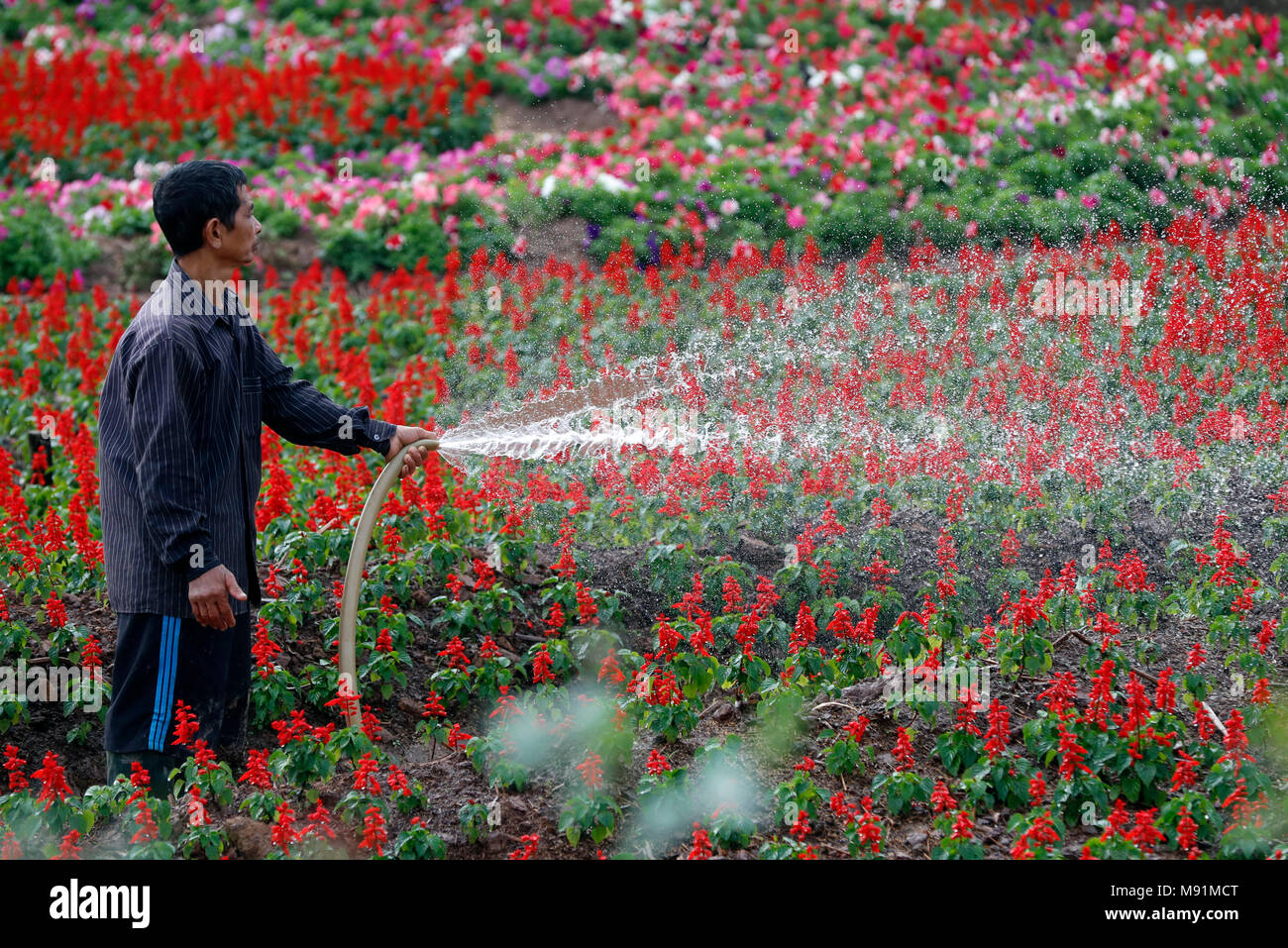 Hanoi hi-res stock photography and images - Alamy
