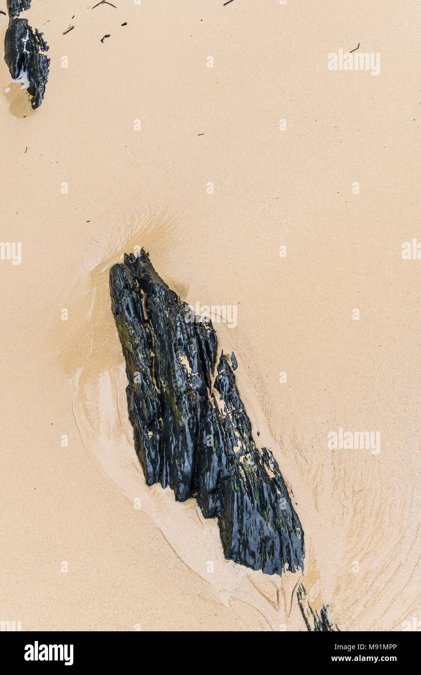 Rock on a sandy beach in South Africa Stock Photo - Alamy