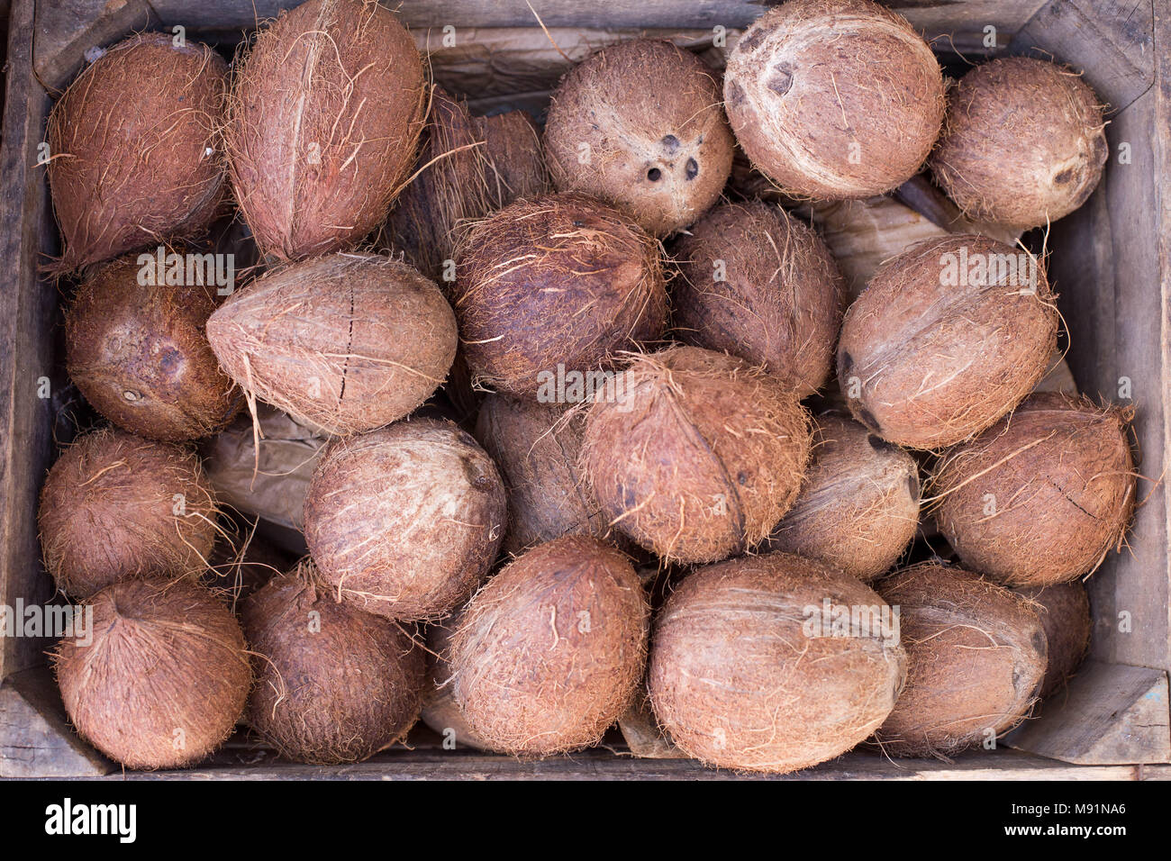 Coconut fruit in a wood box fruits background brown natural tropical ...