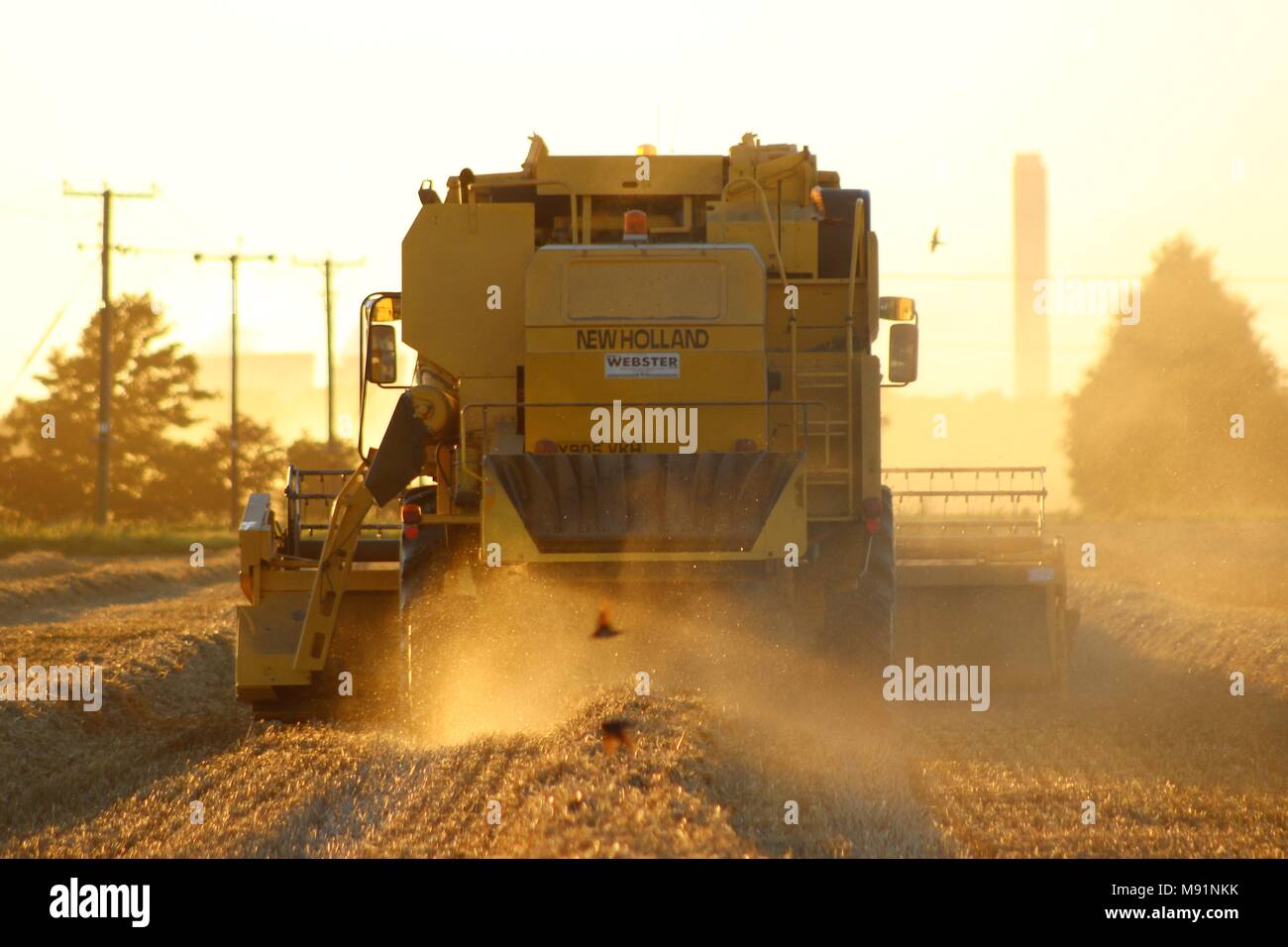 Working combine harvester hi-res stock photography and images - Alamy