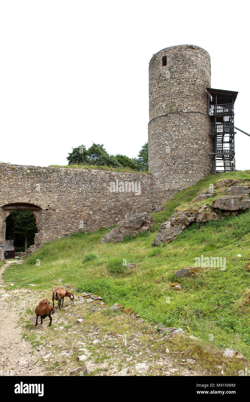 castle, Helfenburk, ruins Stock Photo - Alamy