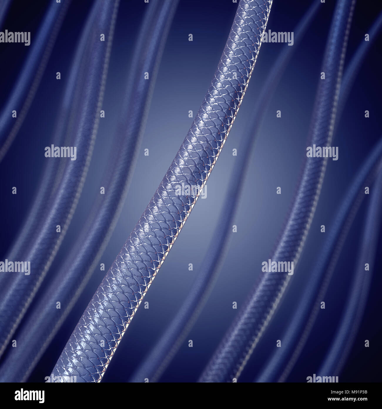 Hair shaft hi-res stock photography and images - Alamy