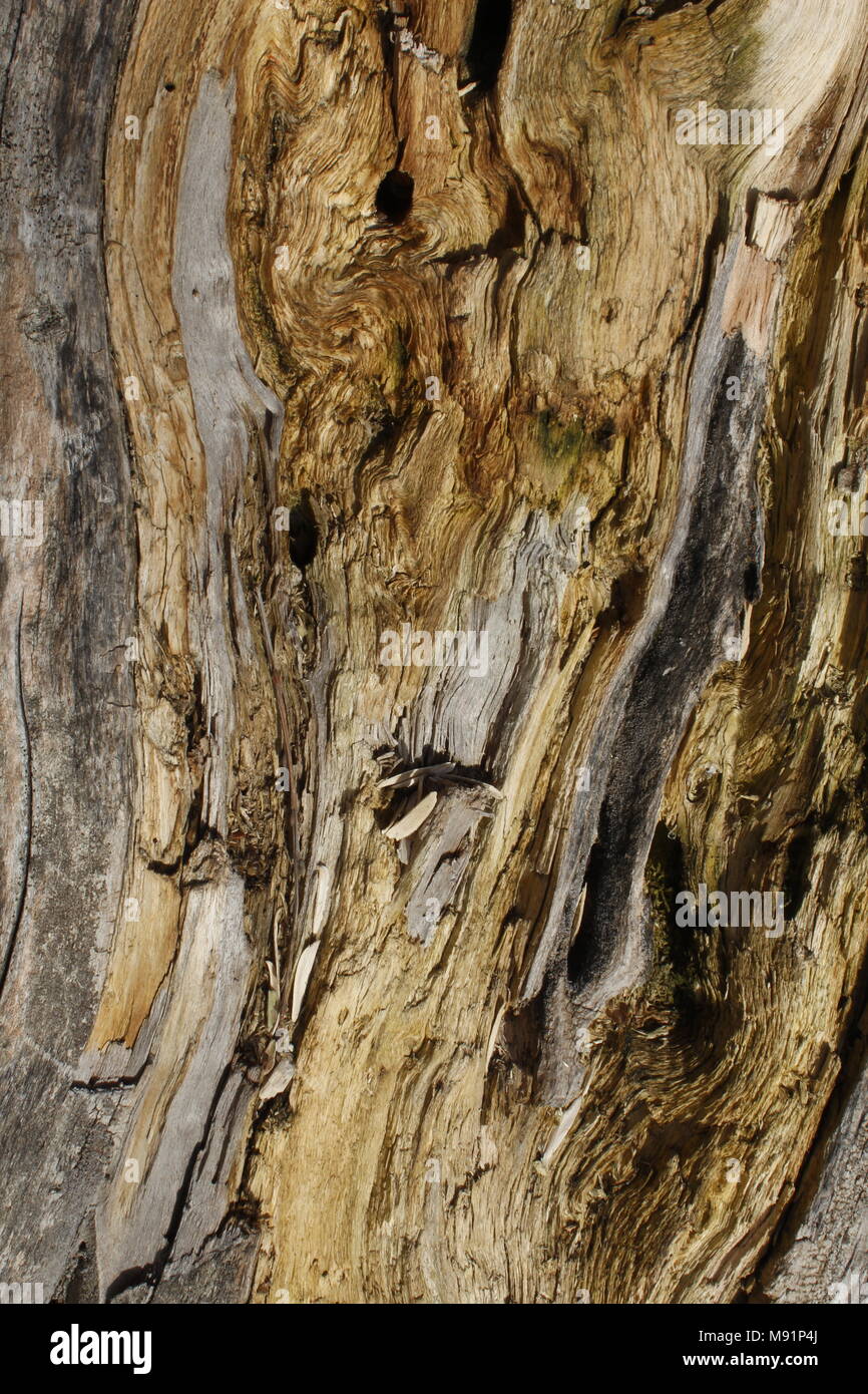 light brown damaged wood background Stock Photo - Alamy