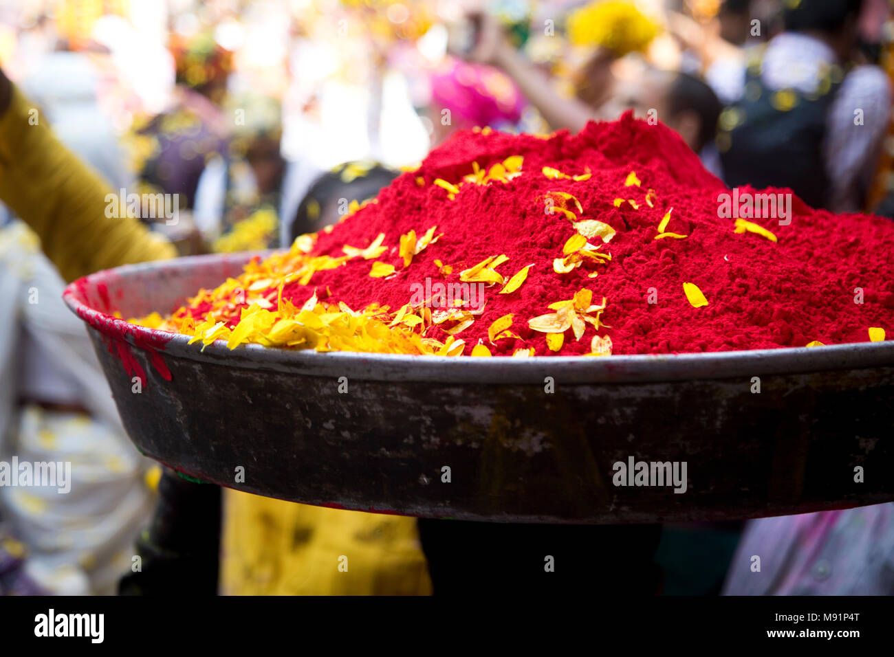 Powder paint widow holi hi-res stock photography and images - Alamy