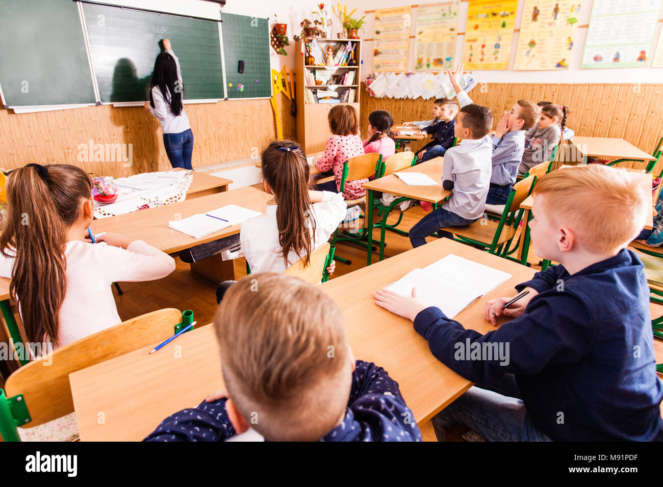 Schoolchildren at the lesson Stock Photo - Alamy