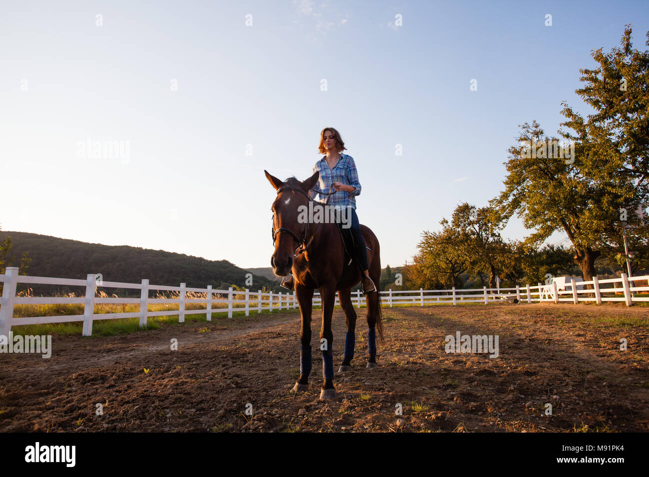 Teen horse riding countryside hi-res stock photography and images - Alamy
