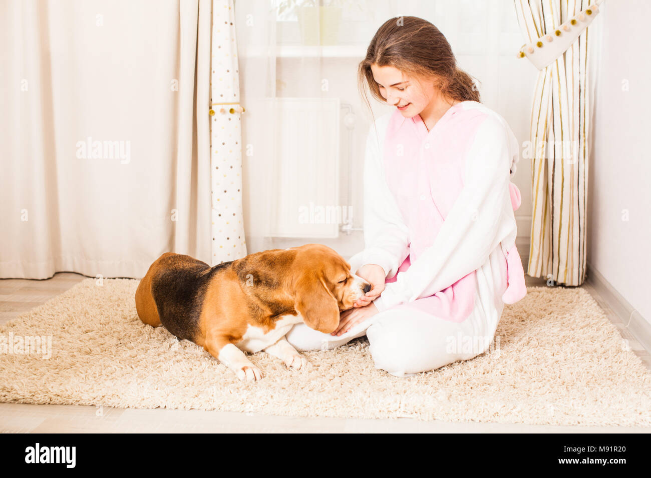 Morning training with beagle Stock Photo - Alamy