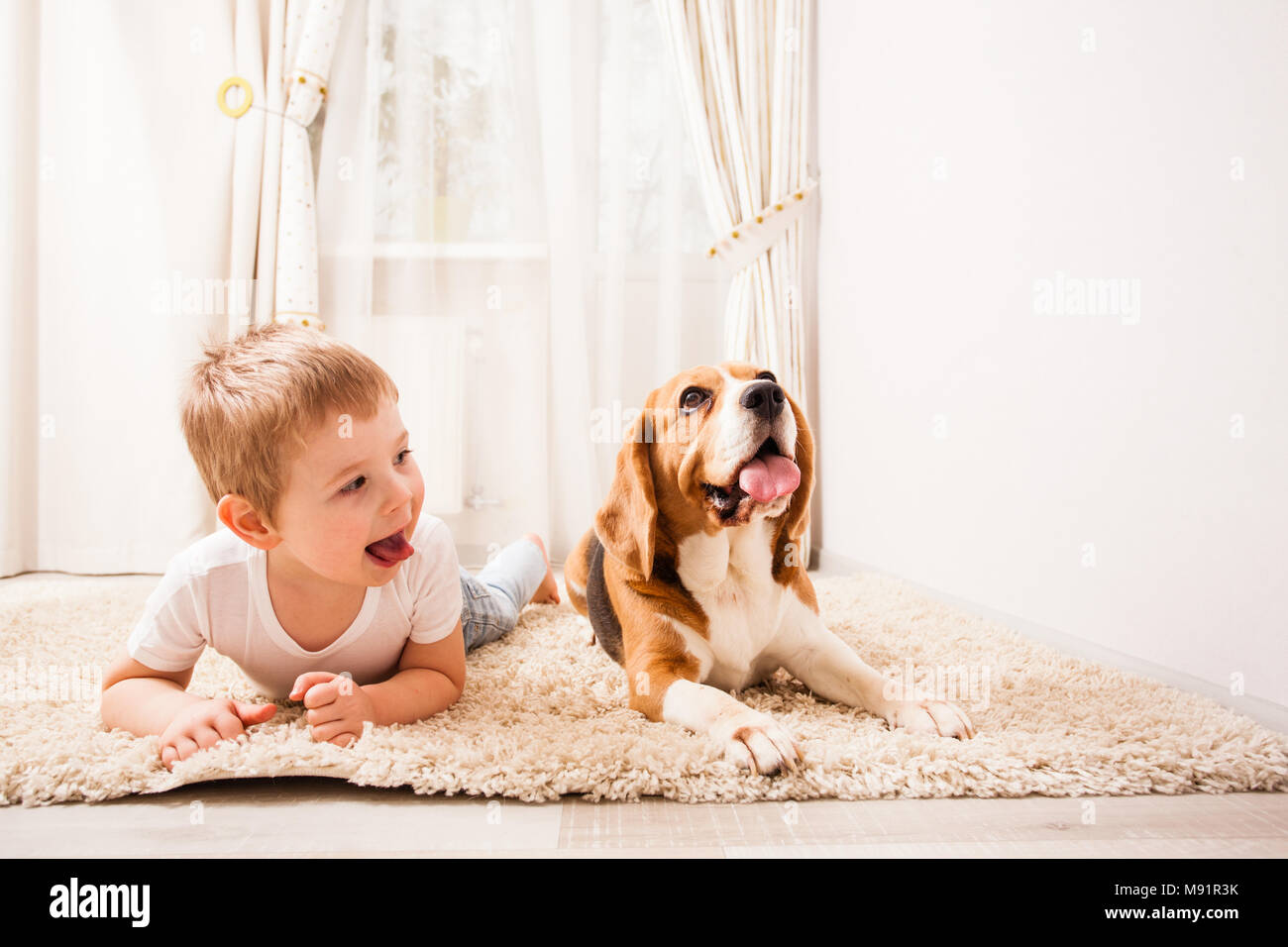 the boy is making face with his dog Stock Photo - Alamy