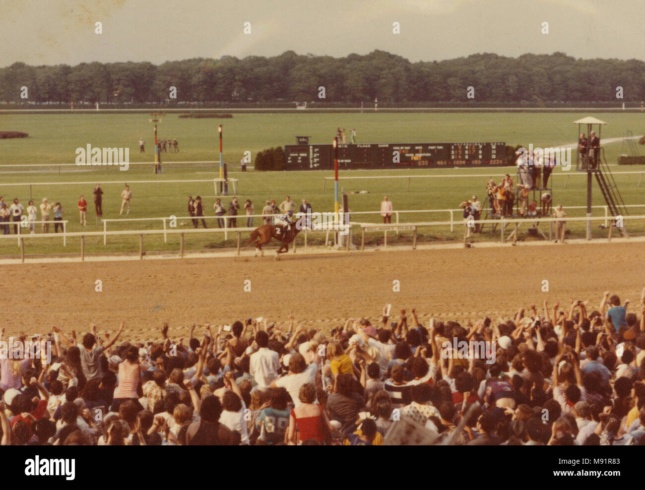 Secretariat horse 1973 hi-res stock photography and images - Alamy