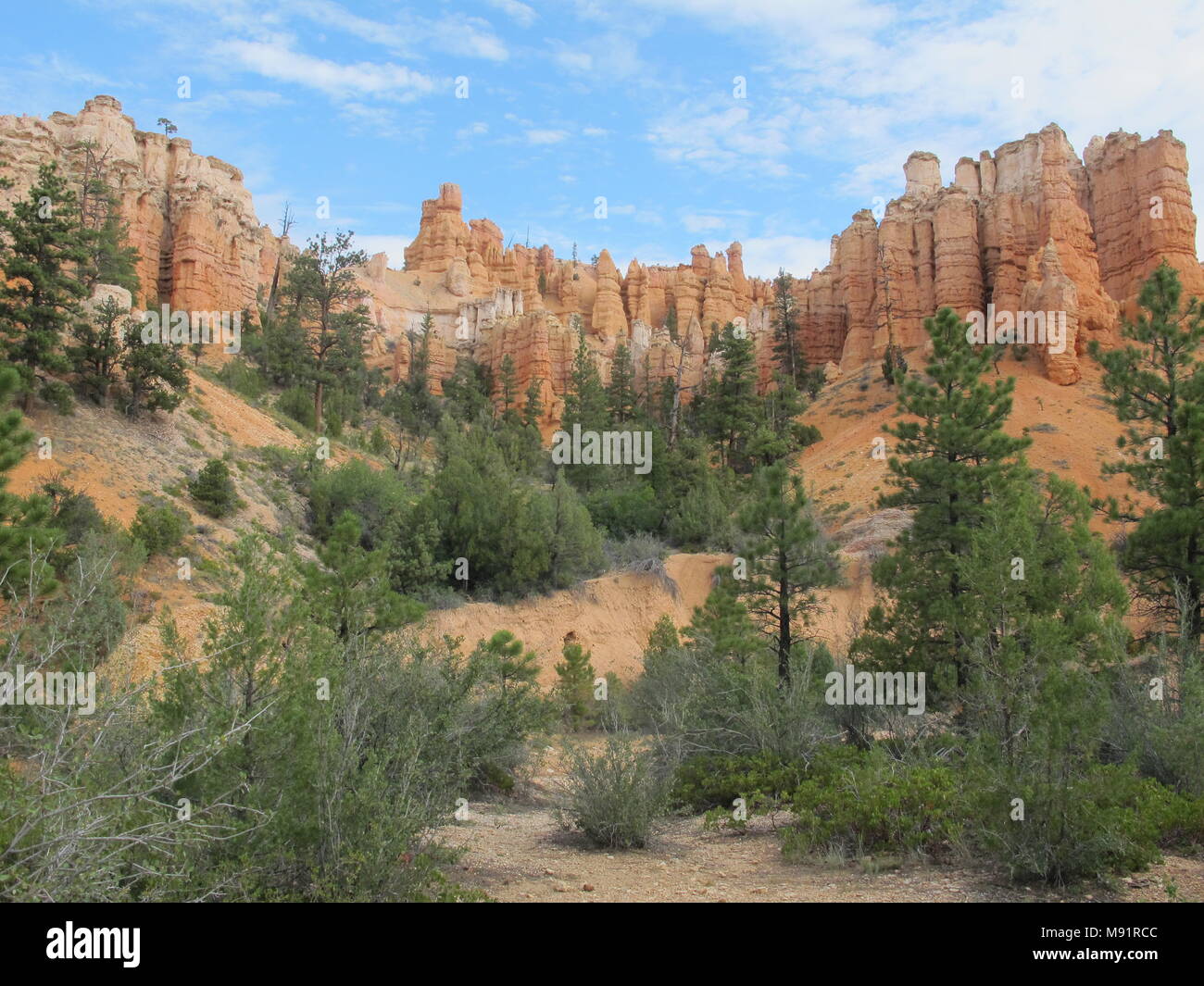 Red Canyon at Dixie National Forest (Scenic Byway 12, Utah, USA Stock ...