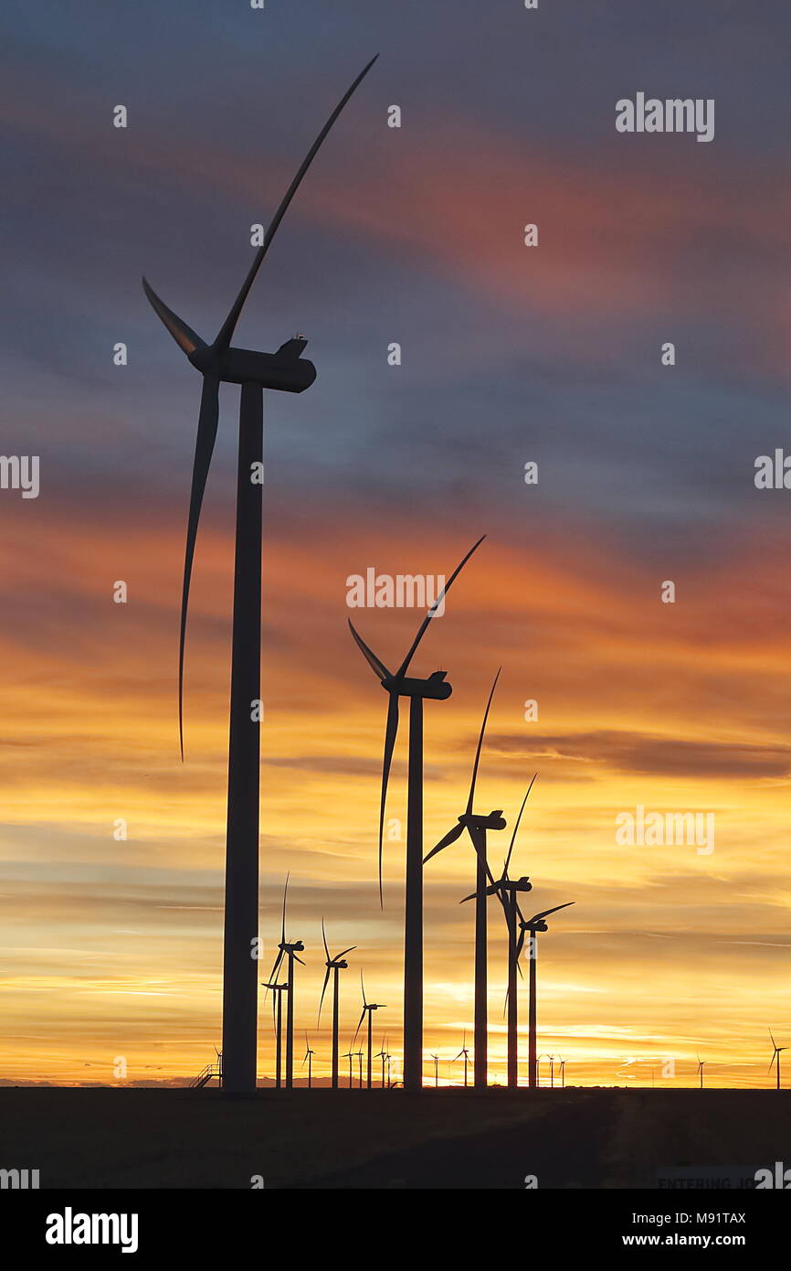 Windmill Farm along the Eastern Plains, Colorado on Sunset Stock Photo ...
