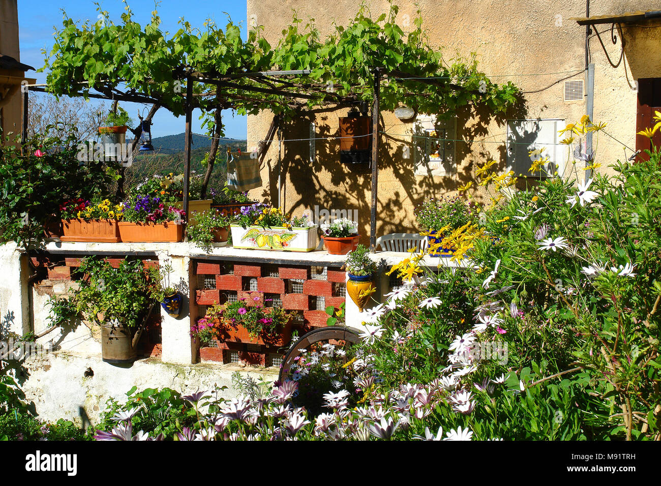 Terrace in spring Stock Photo - Alamy