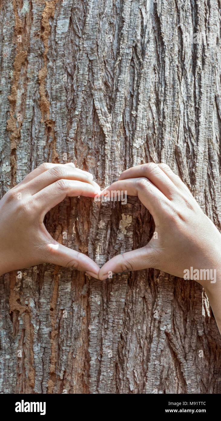 Heart tree hands outside hi-res stock photography and images - Alamy