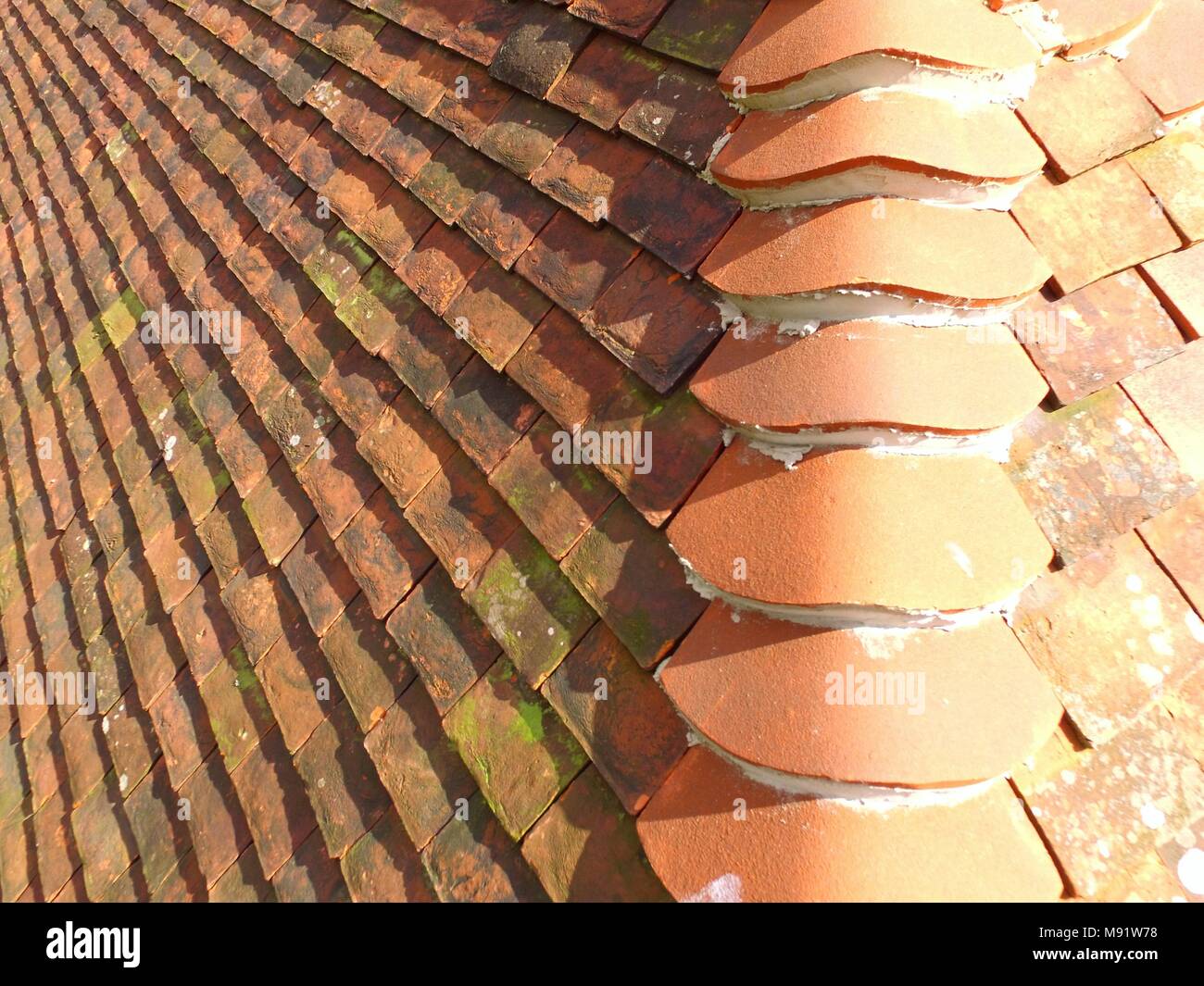 Aerial view of red clay terracotta roof tiles on a old farm building in ...