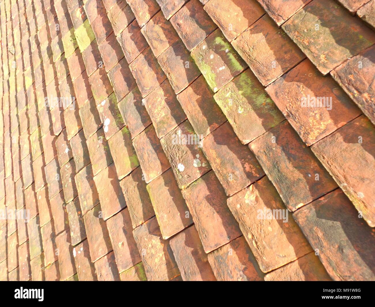 Clay terracotta roof tiles taken from a above point of view Stock Photo ...