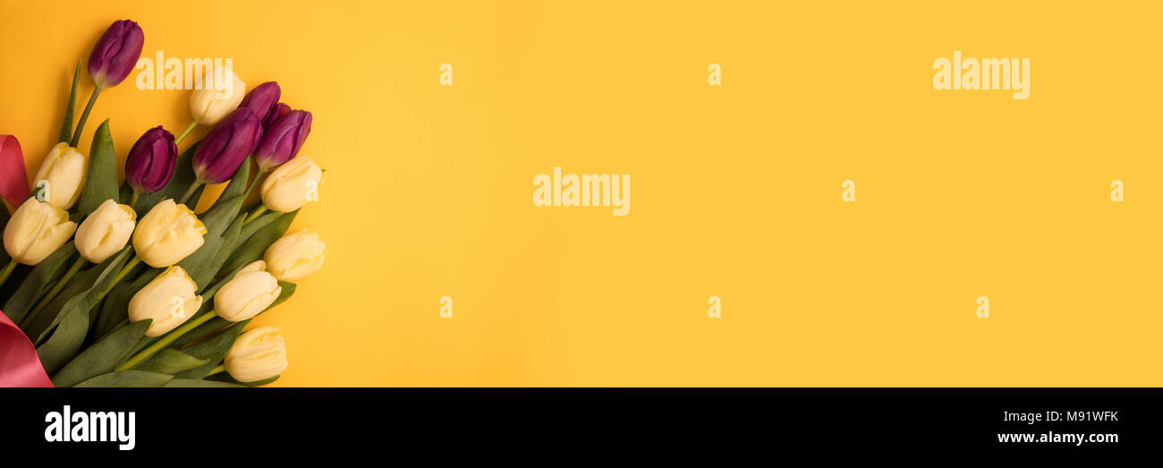 Tulip flowers on the yellow background. Header for you design Stock ...